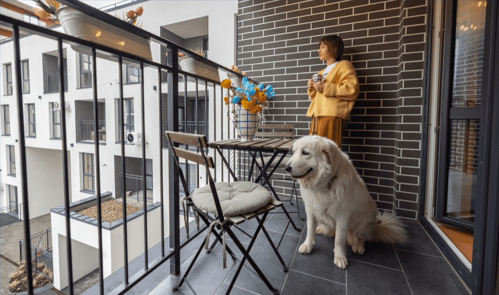The Pet-Inclusive Scorecard: Score Your Property